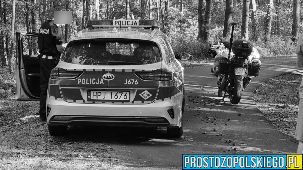 Tragiczne zdarzenie na DK46 w Lesie Dąbrowskim. 59-latek